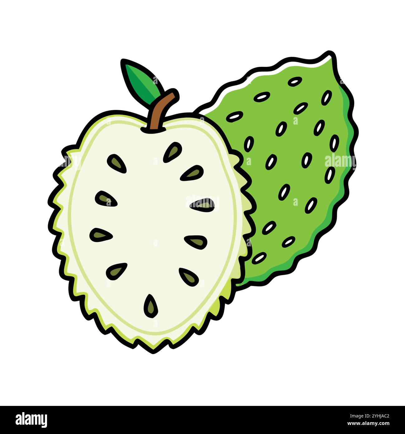 simple vector illustration of a soursop, in a simple and clean style ...