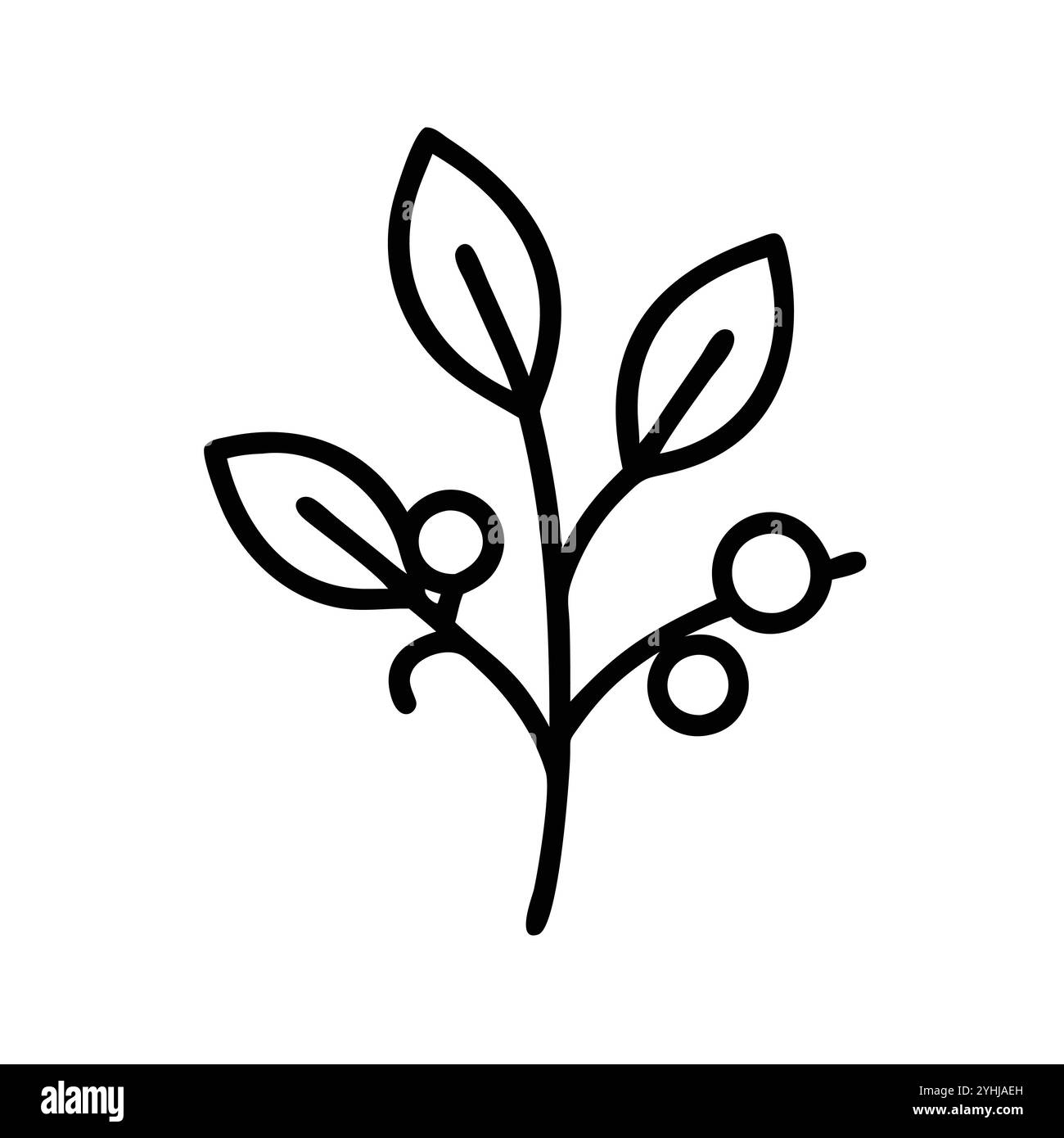 simple vector illustration of a serviceberry, in a simple and clean ...