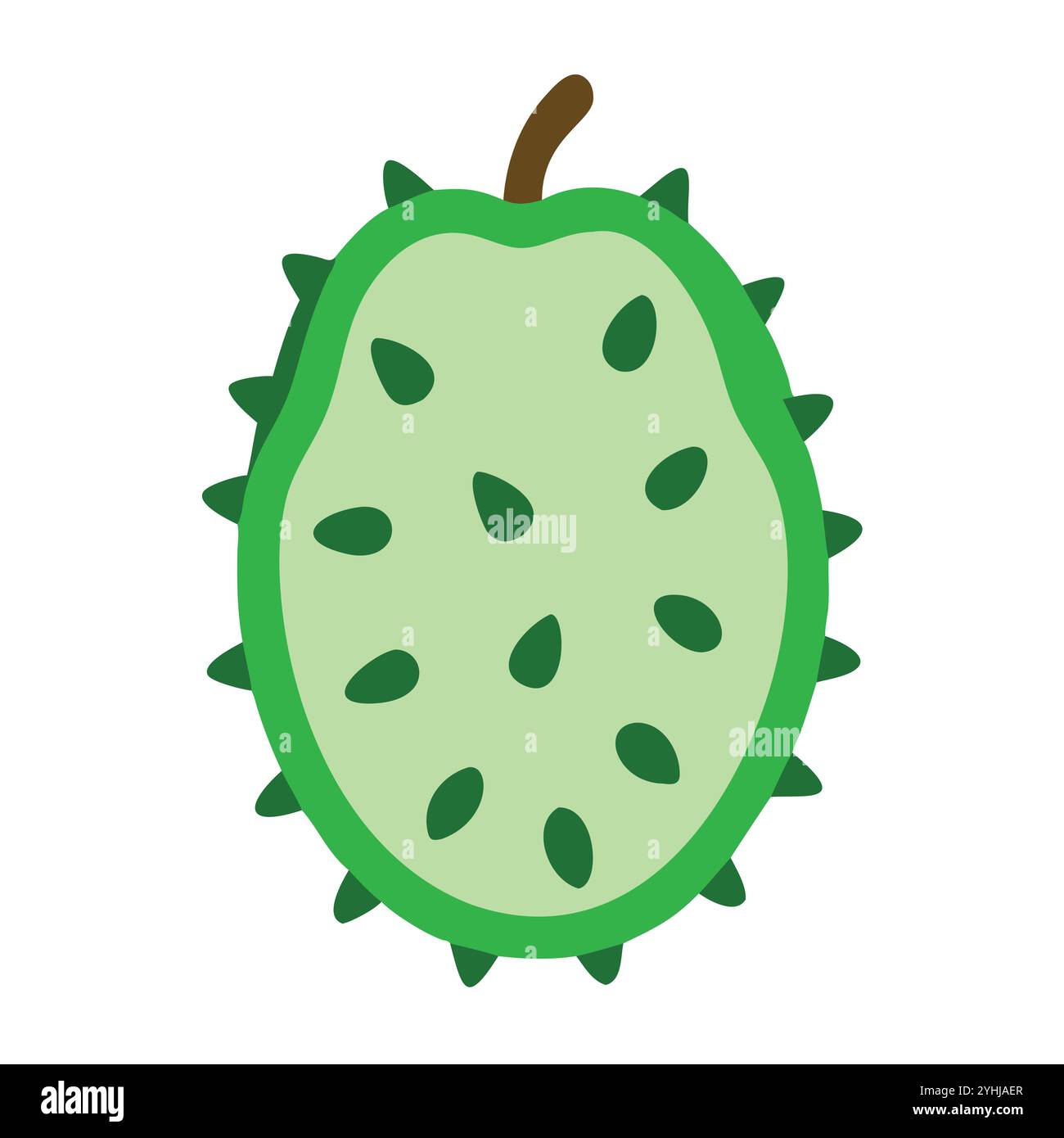 simple vector illustration of a soursop, in a simple and clean style, suitable for food and ...