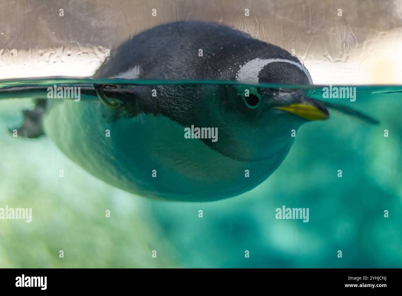 Sleek fluid motion hi-res stock photography and images - Alamy