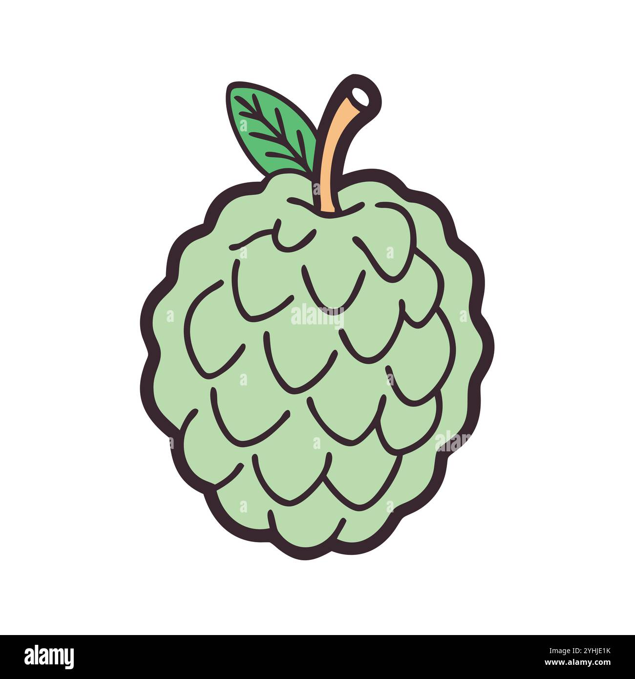 simple vector illustration of a sugar apple, in a simple and clean ...