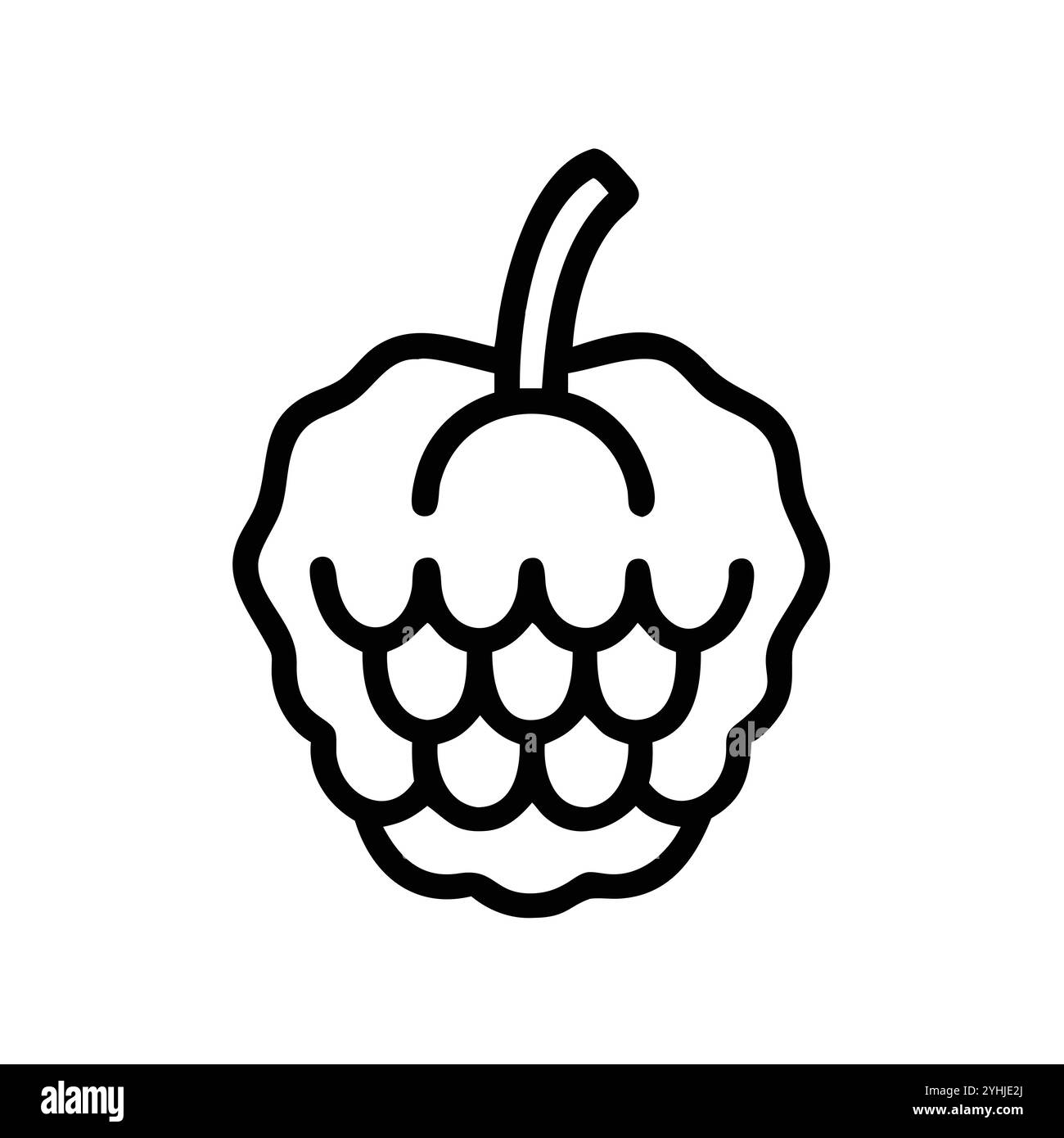 simple vector illustration of a sugar apple, in a simple and clean ...