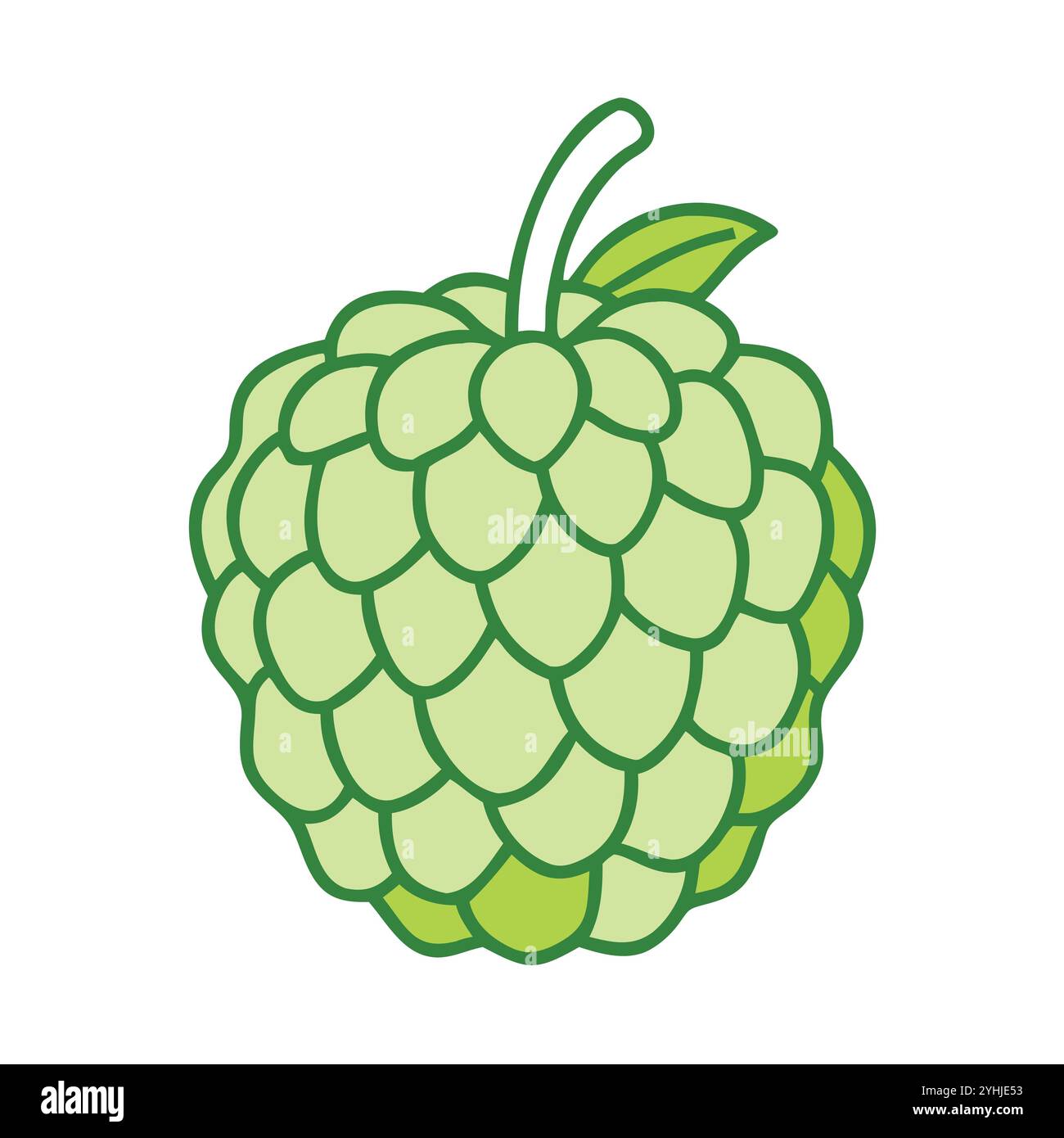 simple vector illustration of a sugar apple, in a simple and clean ...