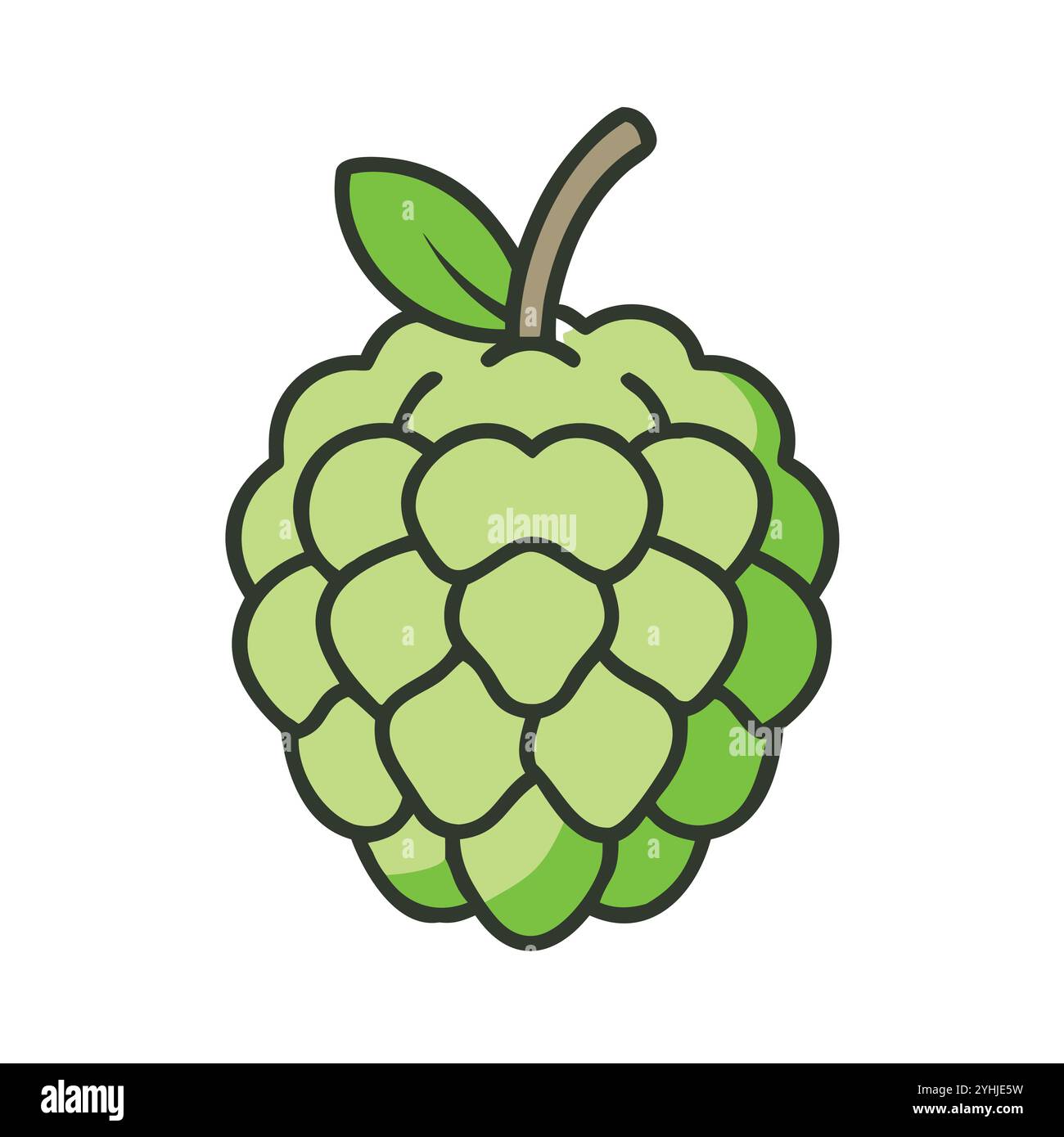 simple vector illustration of a sugar apple, in a simple and clean ...