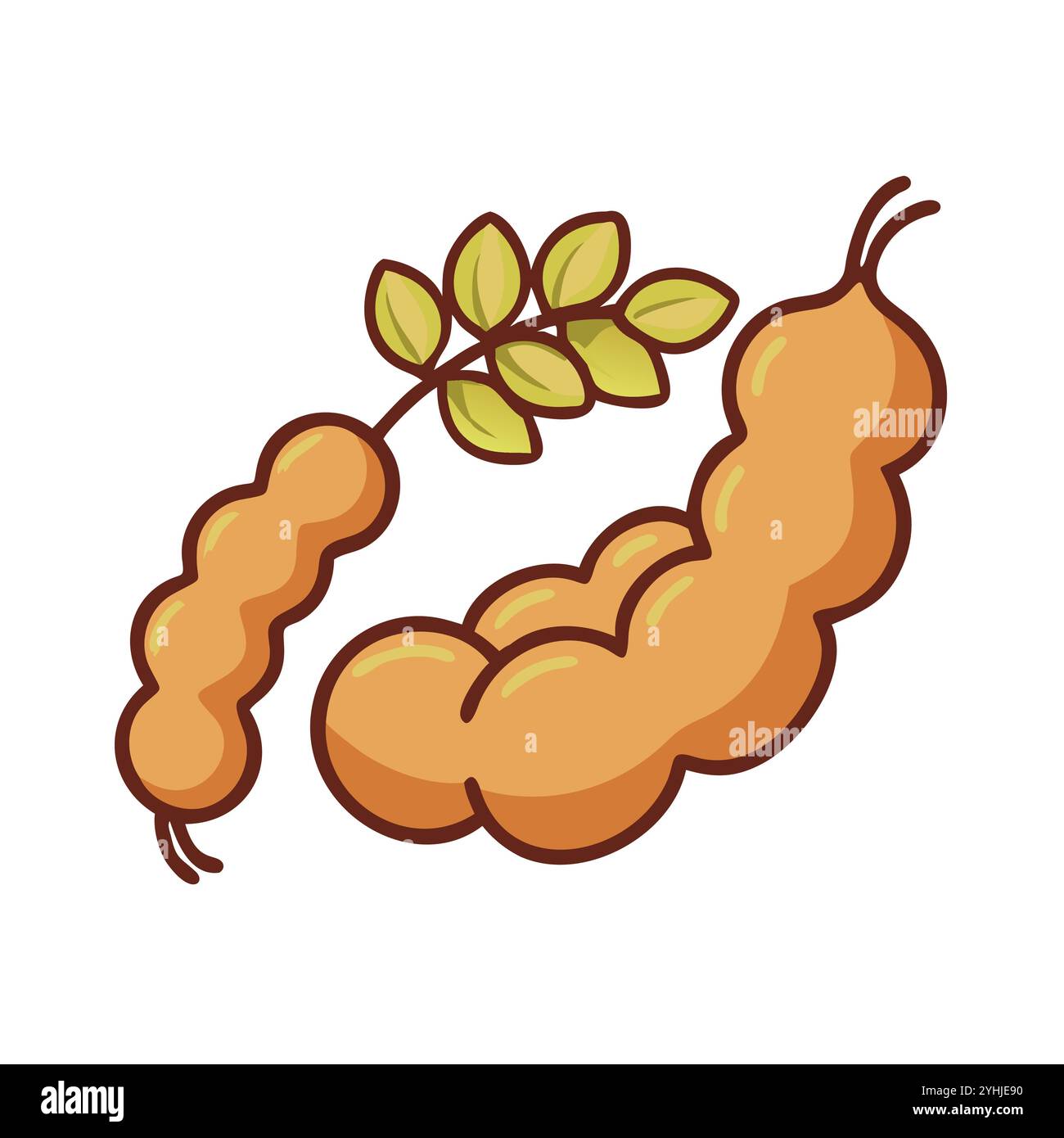 simple vector illustration of a tamarind, in a simple and clean style ...