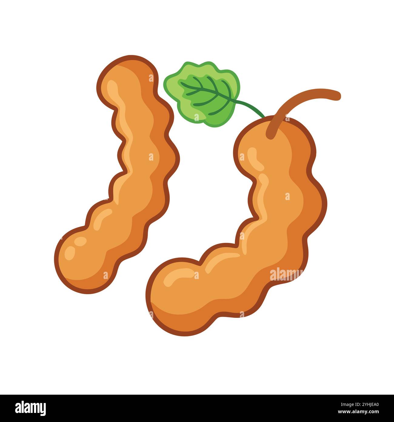 simple vector illustration of a tamarind, in a simple and clean style ...