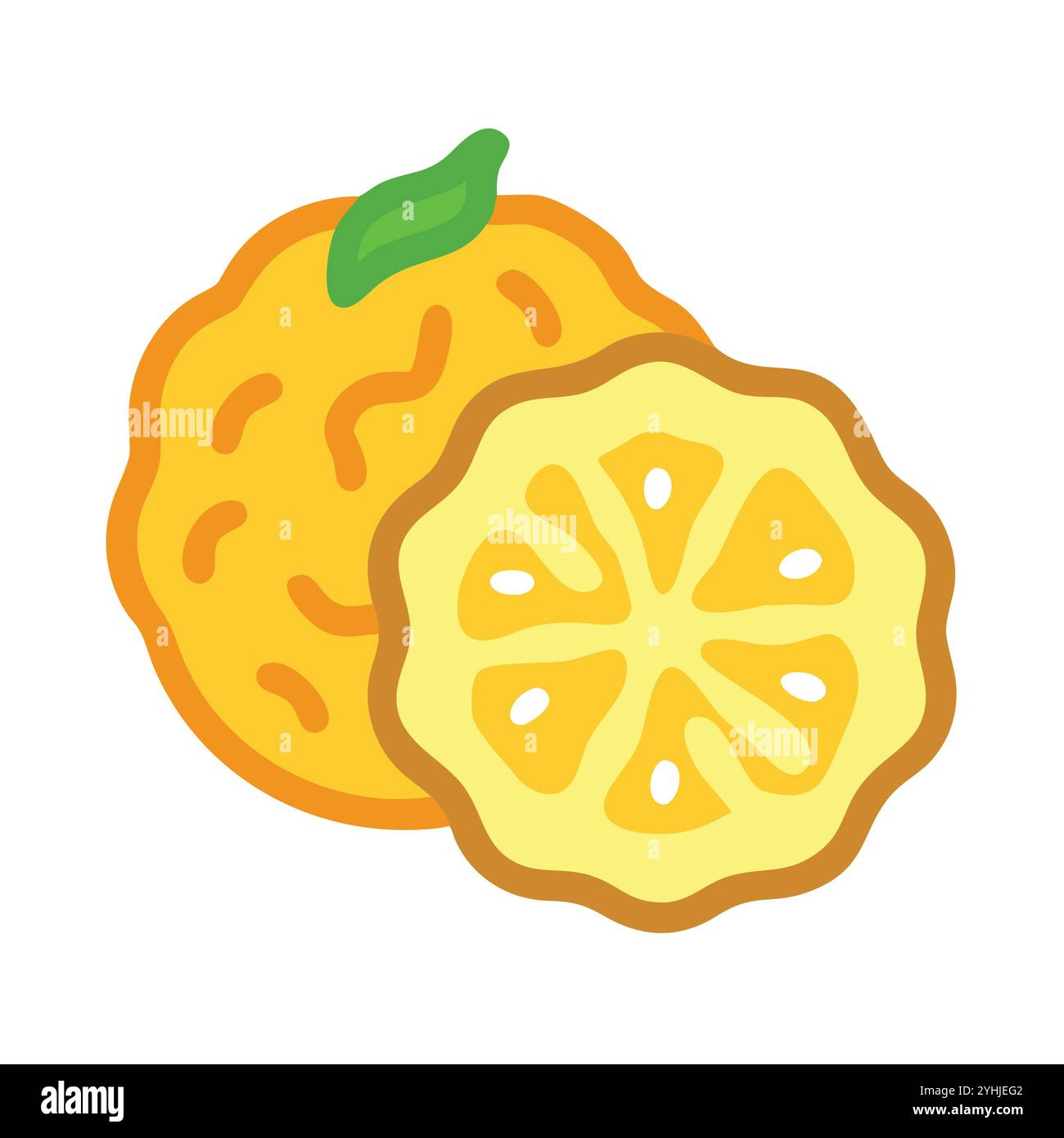 simple vector illustration of a ugli fruit, in a simple and clean style ...