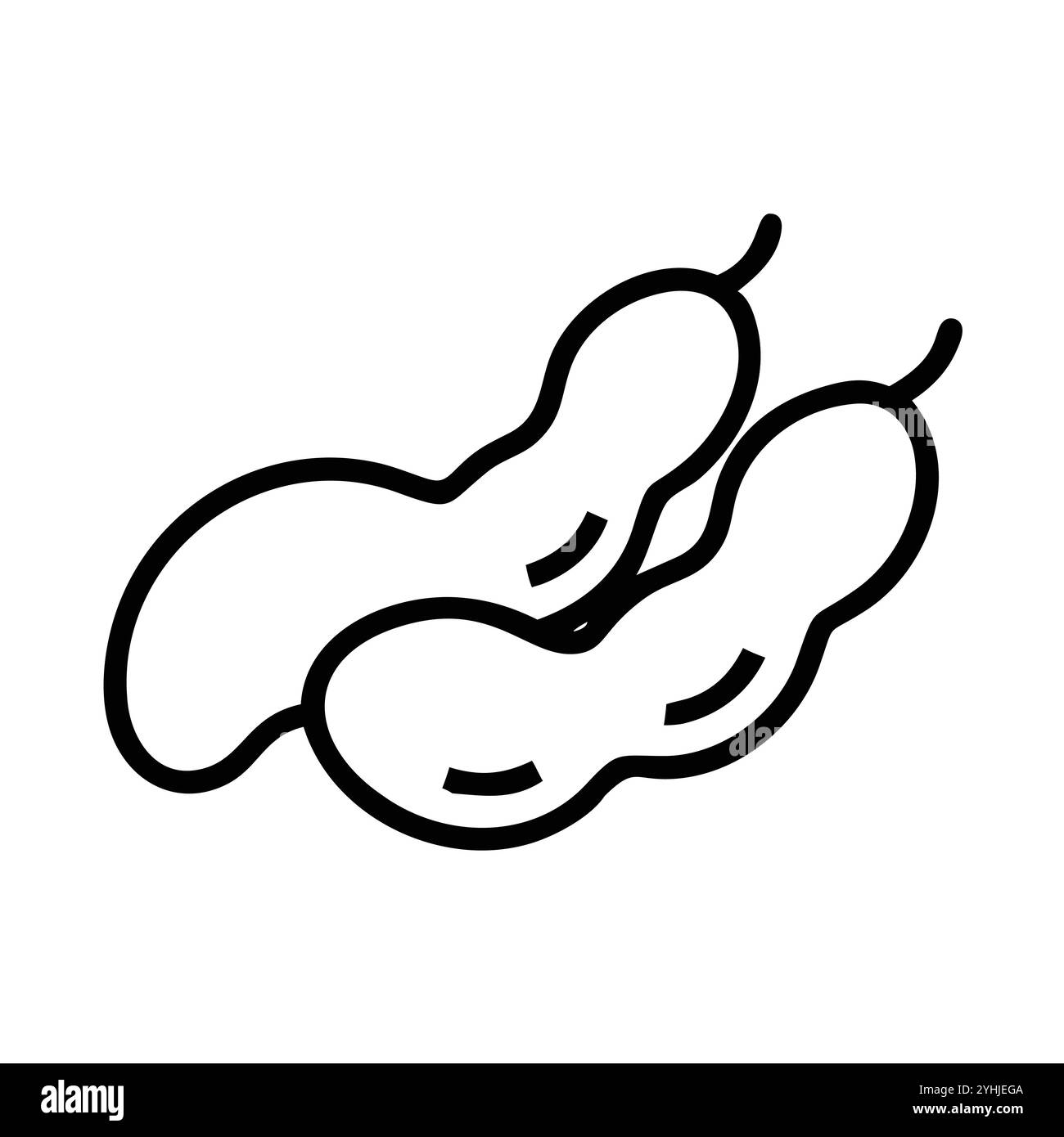 Tamarind vector hi-res stock photography and images - Alamy