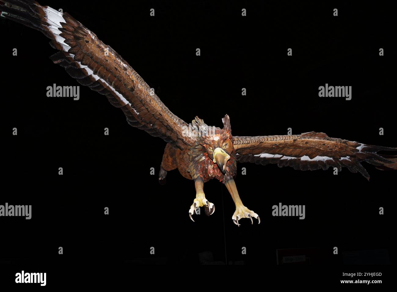 Turin, Italy - May25, 2024: Model of phoenix, the immortal bird ...