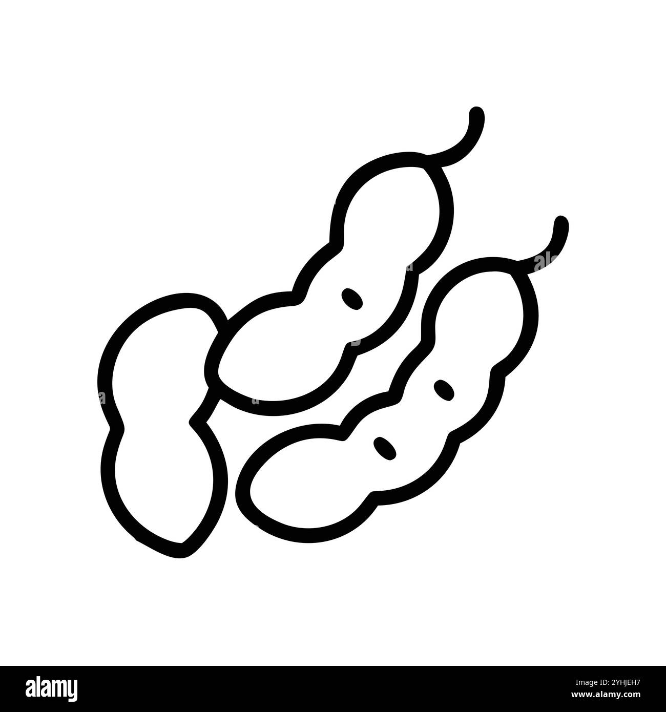 simple vector illustration of a tamarind, in a simple and clean style ...