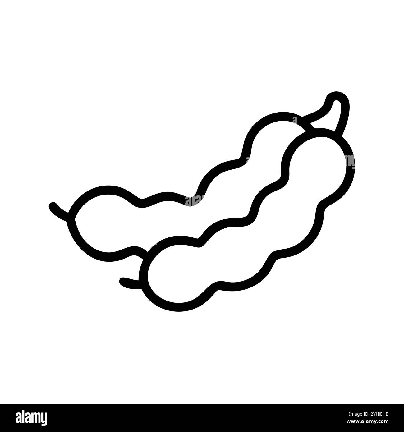simple vector illustration of a tamarind, in a simple and clean style ...