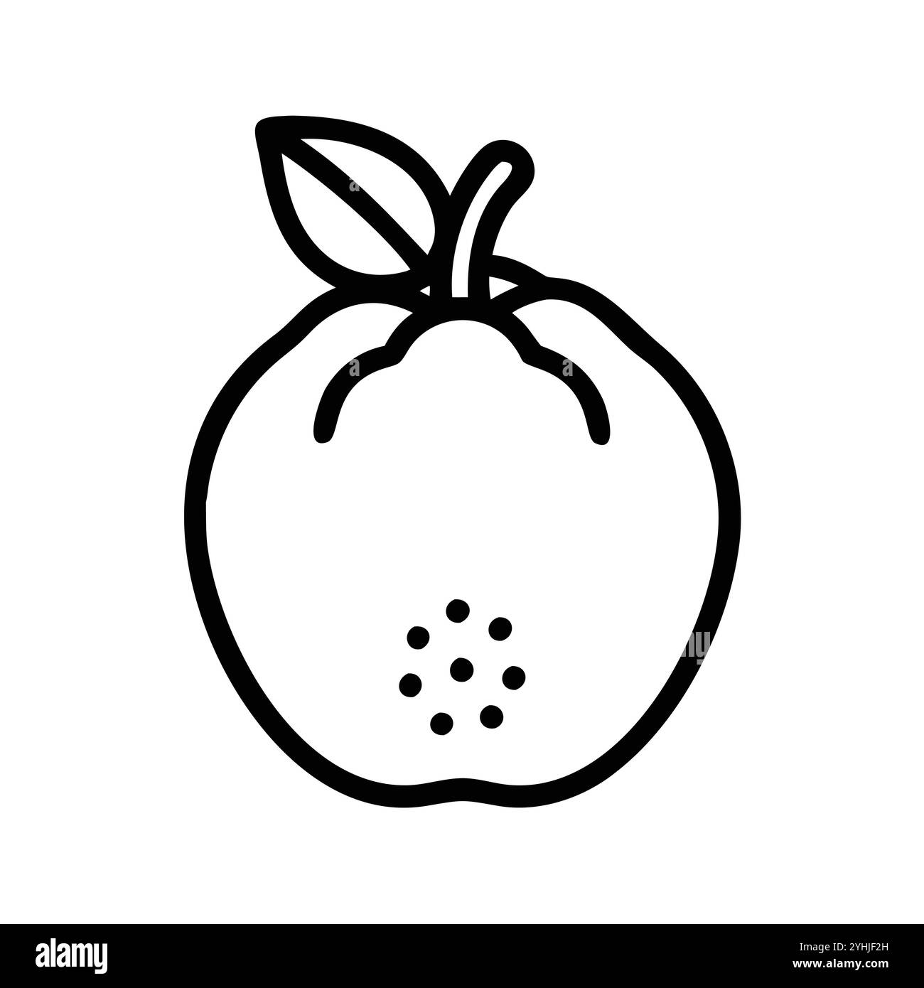 simple vector illustration of a white sapote, in a simple and clean ...