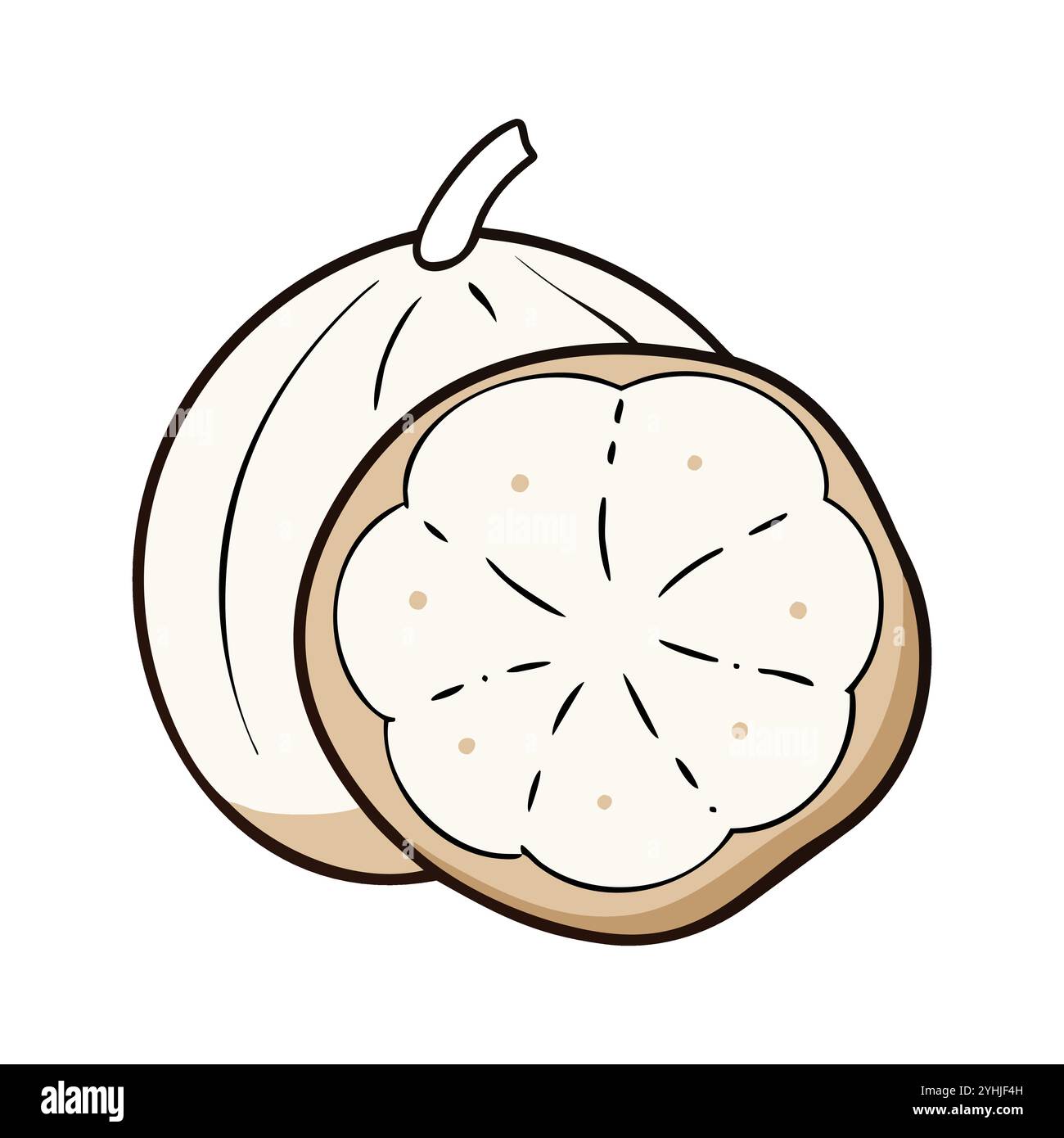 simple vector illustration of a white sapote, in a simple and clean ...
