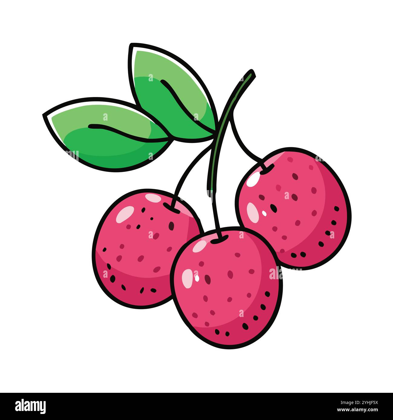 simple vector illustration of a yumberry, in a simple and clean style ...