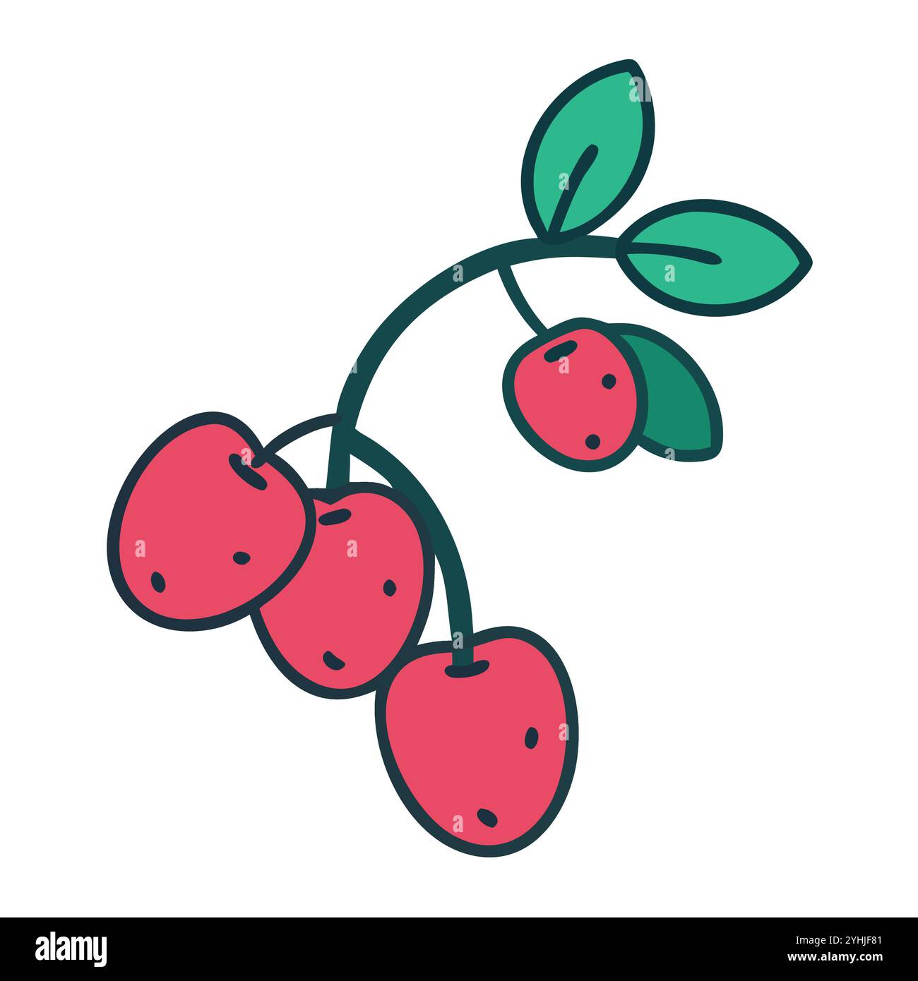 simple vector illustration of a yumberry, in a simple and clean style ...