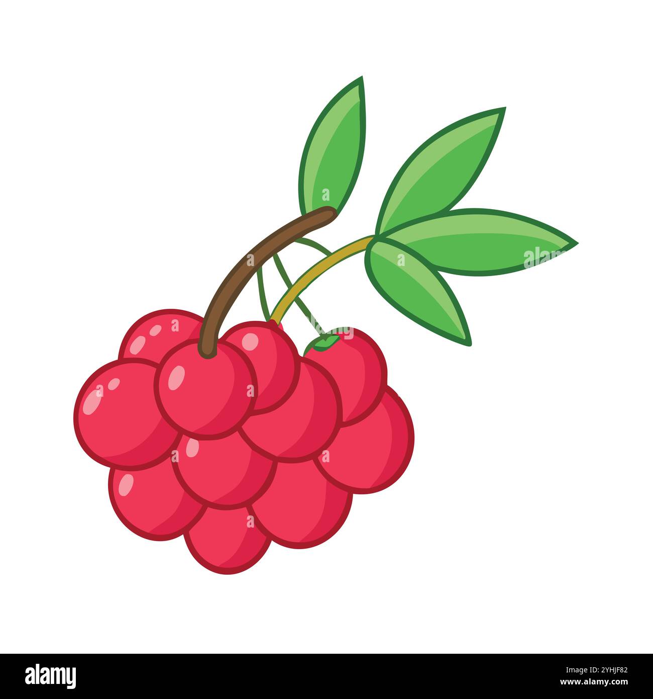 simple vector illustration of a yumberry, in a simple and clean style ...