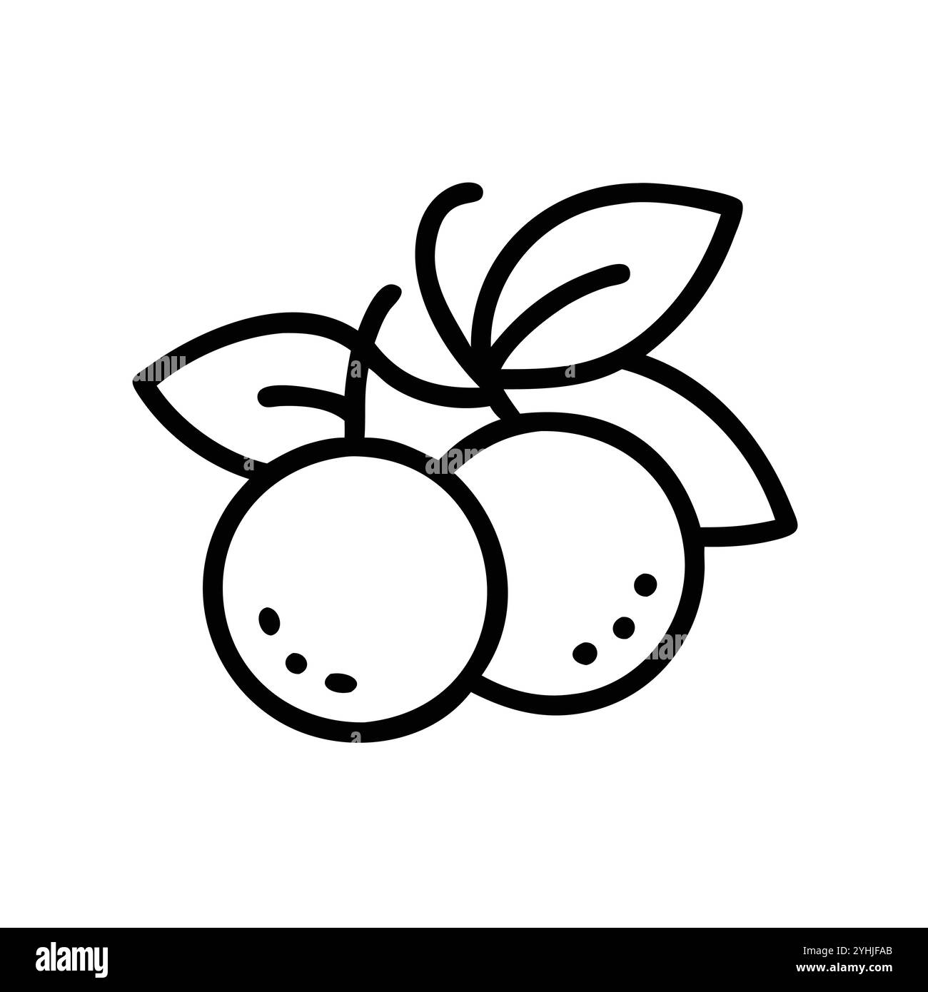 simple vector illustration of a yumberry, in a simple and clean style ...