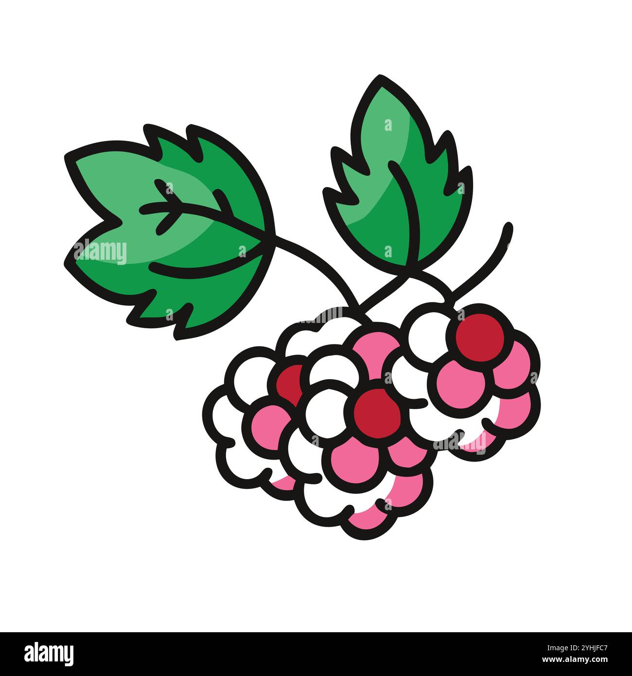 simple vector illustration of a yumberry, in a simple and clean style ...