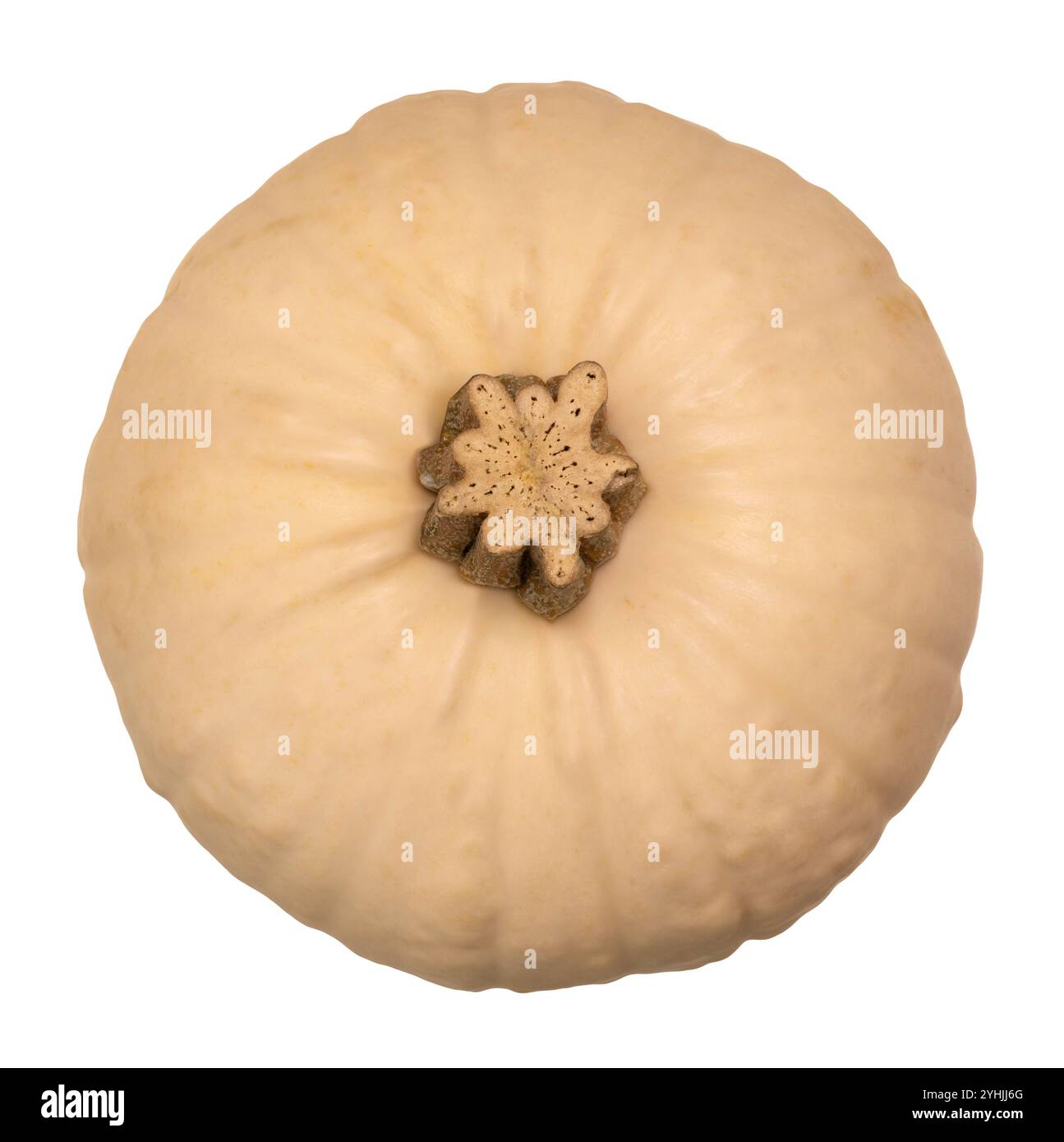 Subtle neutral Cut Out Stock Images & Pictures - Alamy