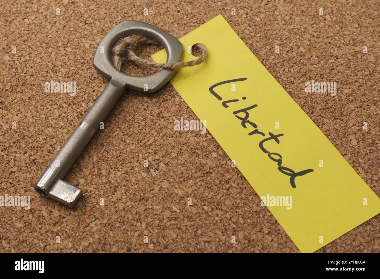 Modern key attached to a tag labeled "Freedom" on corkboard background ...