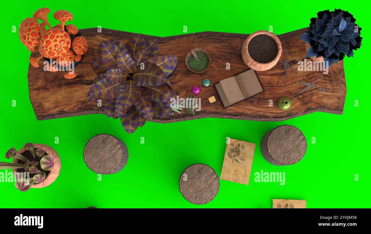 botanical table of wizard school with green background Stock Photo - Alamy