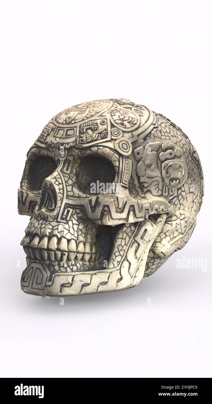 skull with white background Stock Photo - Alamy