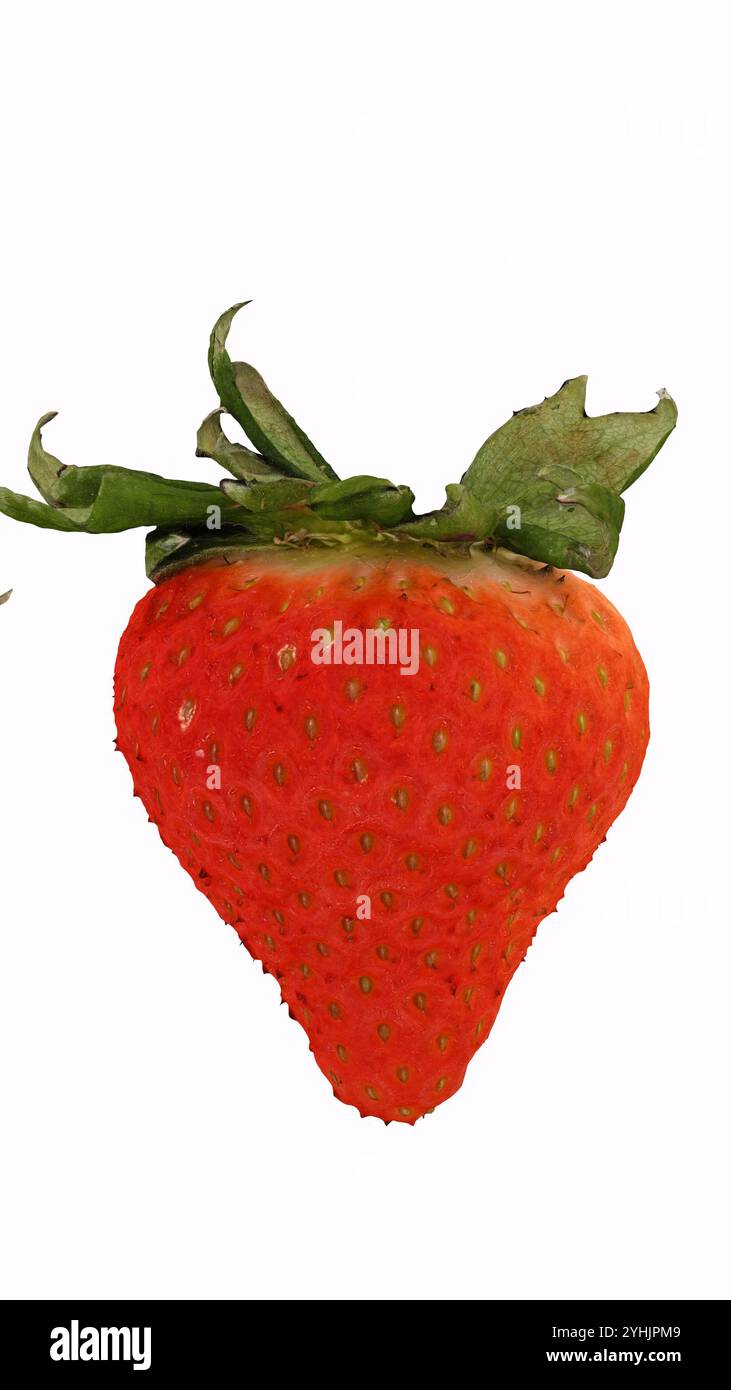 strawberry with white background Stock Photo - Alamy
