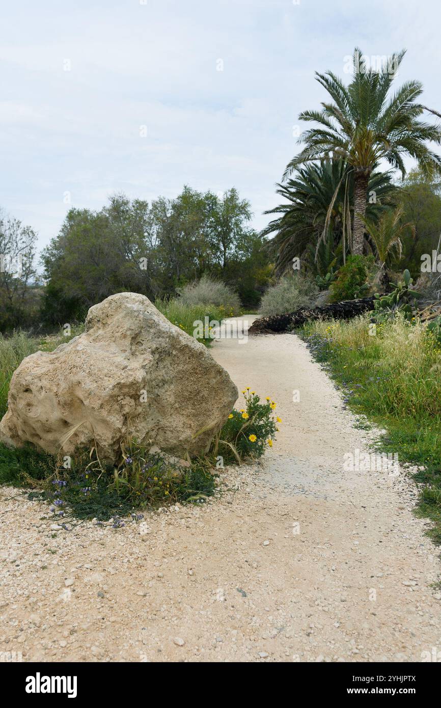 Large stone on a gravel road Stock Photo - Alamy