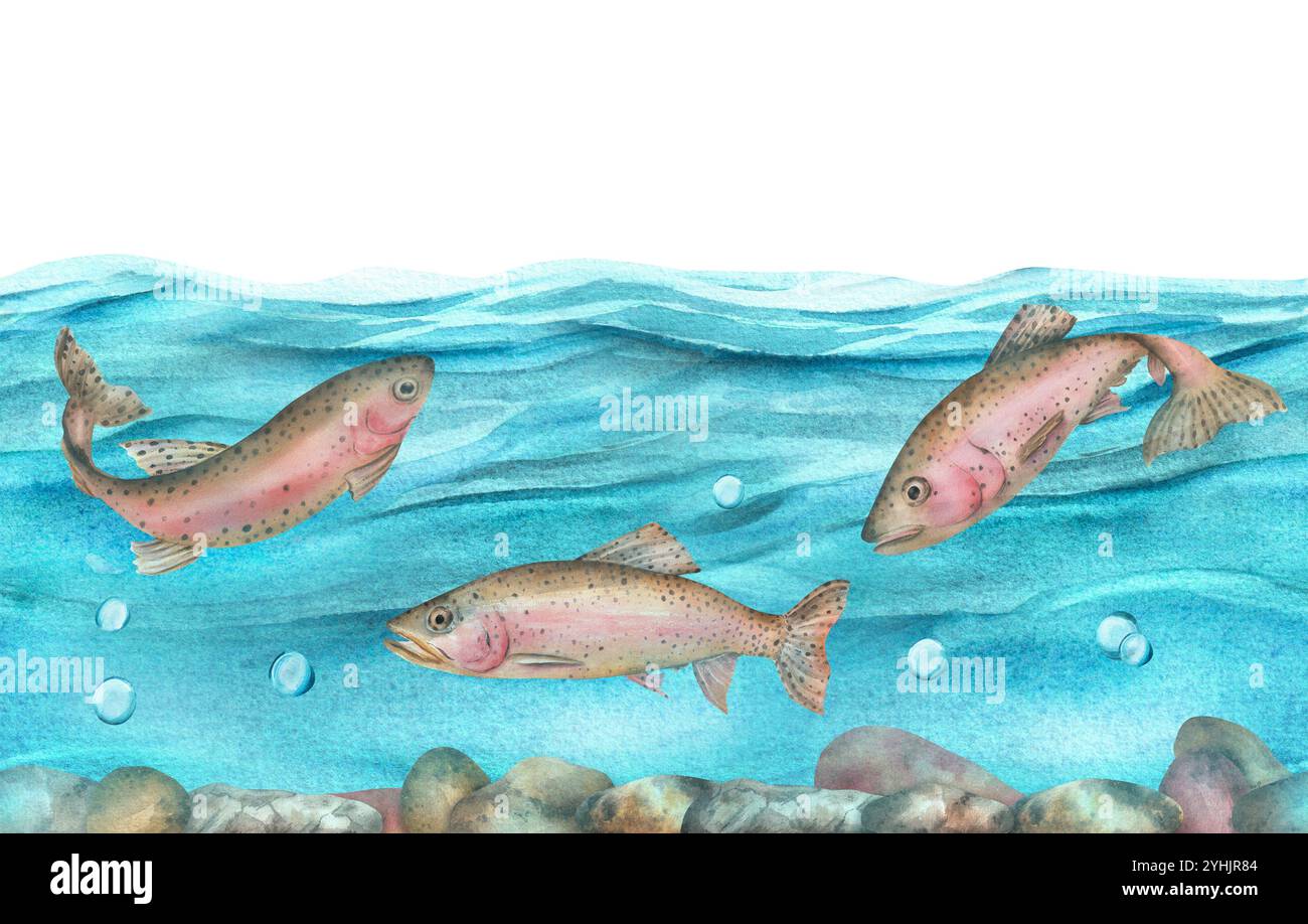 Seamless pattern with freshwater fish. Rainbow trout underwater. Blue ...