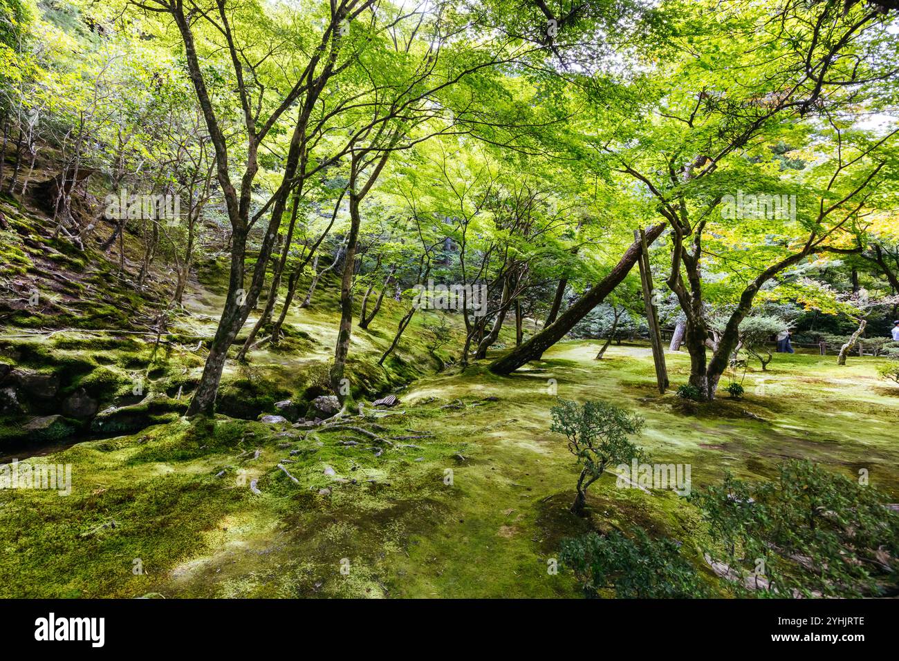 Silver Pavillion Ginkakuji Temple Kyoto Japan Stock Photo - Alamy