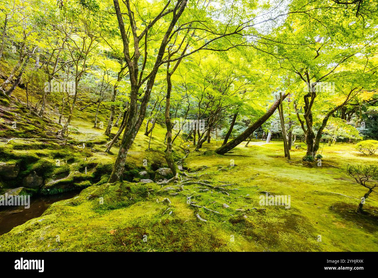 Silver Pavillion Ginkakuji Temple Kyoto Japan Stock Photo - Alamy