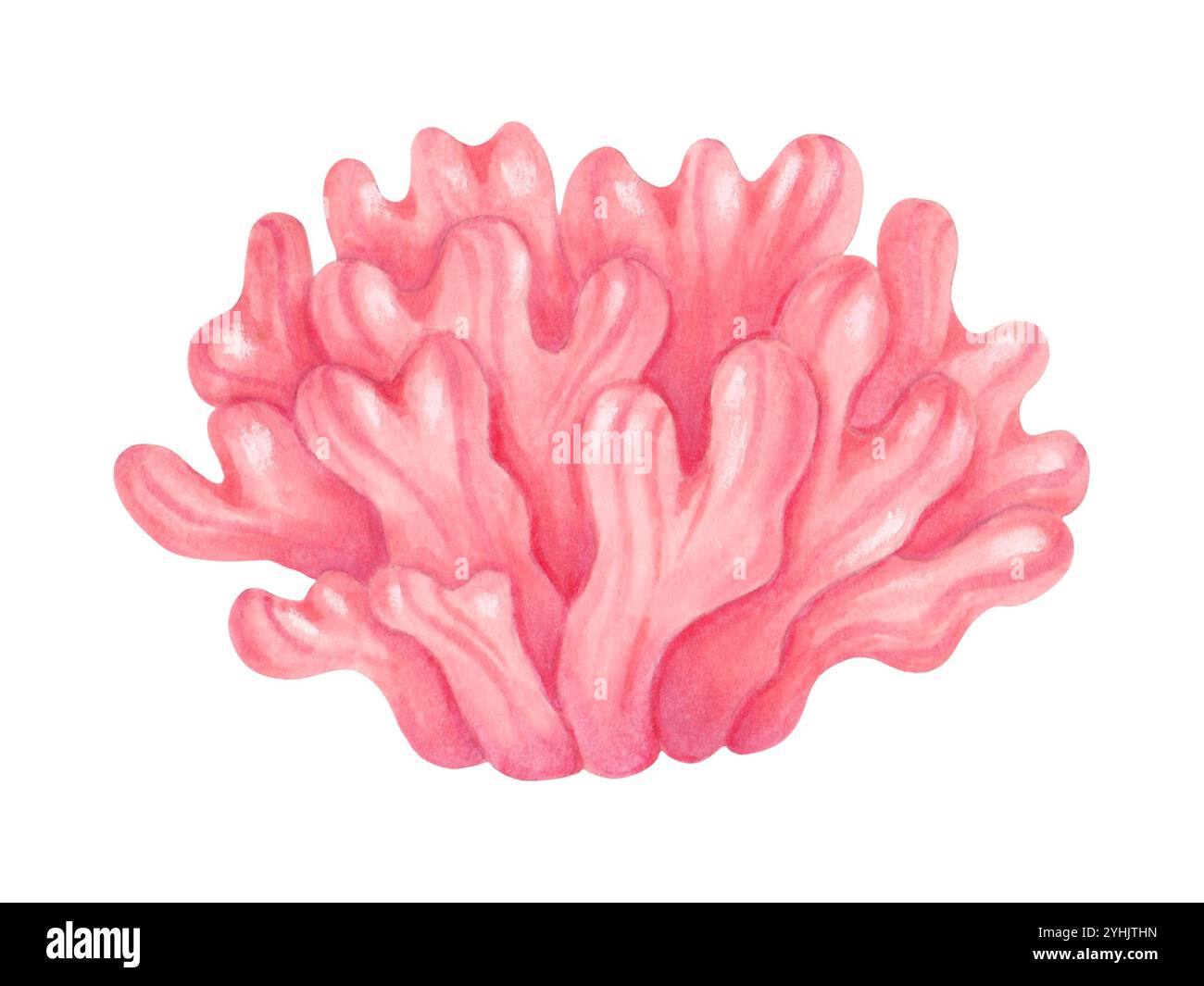 Soft pink coral reef. Watercolor and marker illustrations. Ocean ...