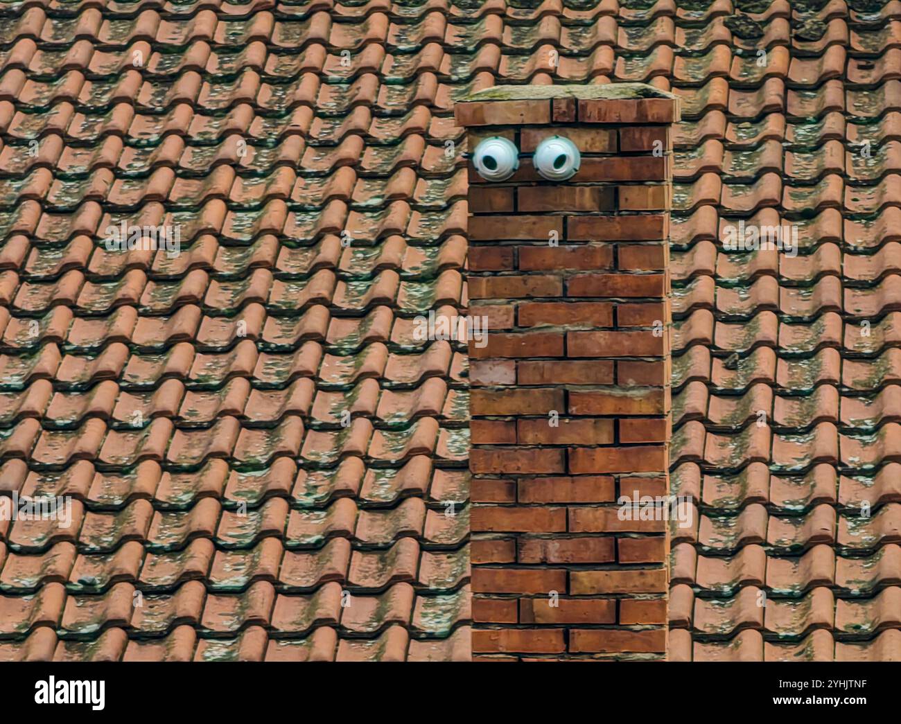 Abstract White Bulging Eyes on Brick Chimney with Rooftop Ceramic ...