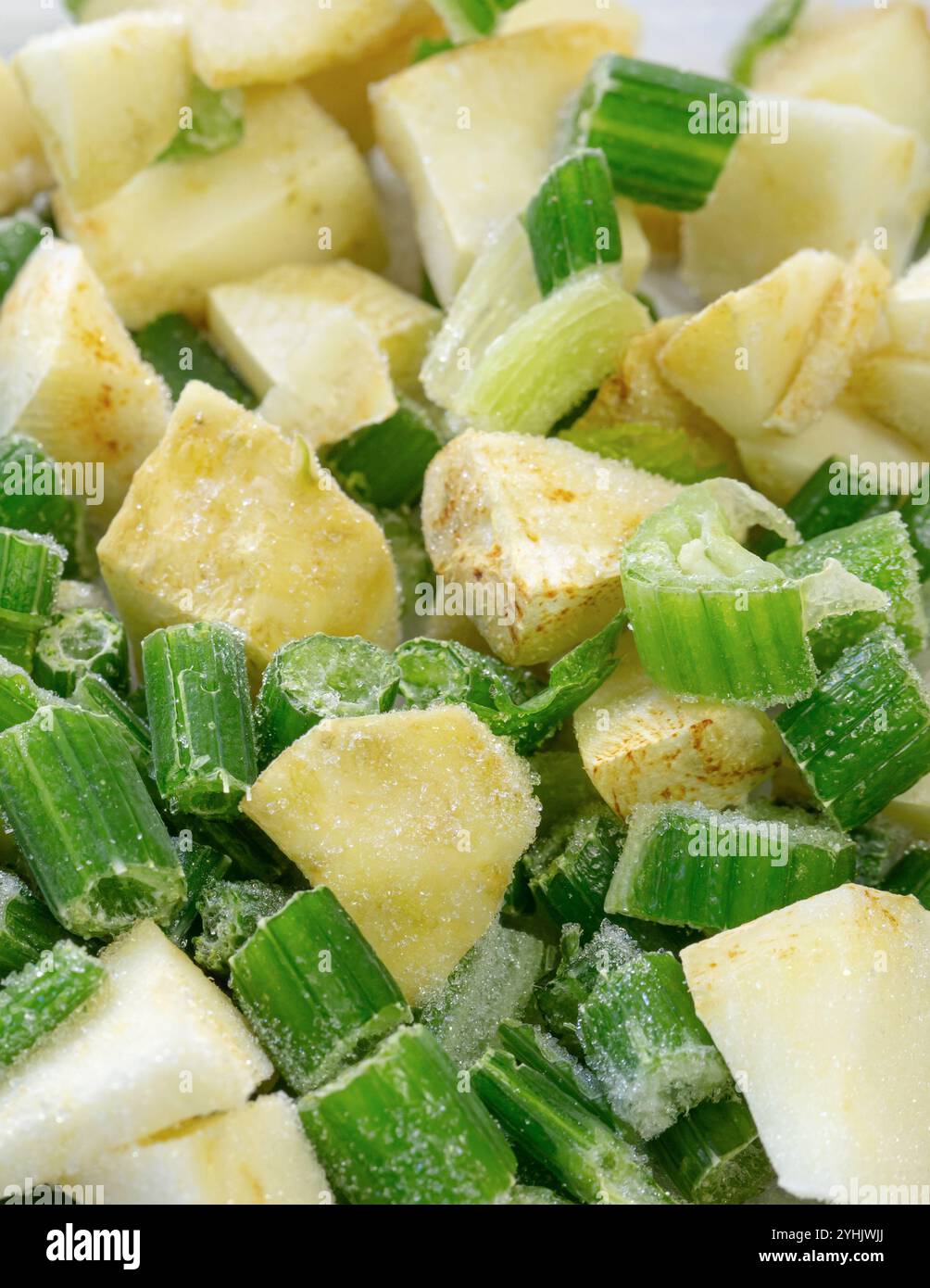 chopped celery frozen in freezer ready to cook. chopped celery root ...