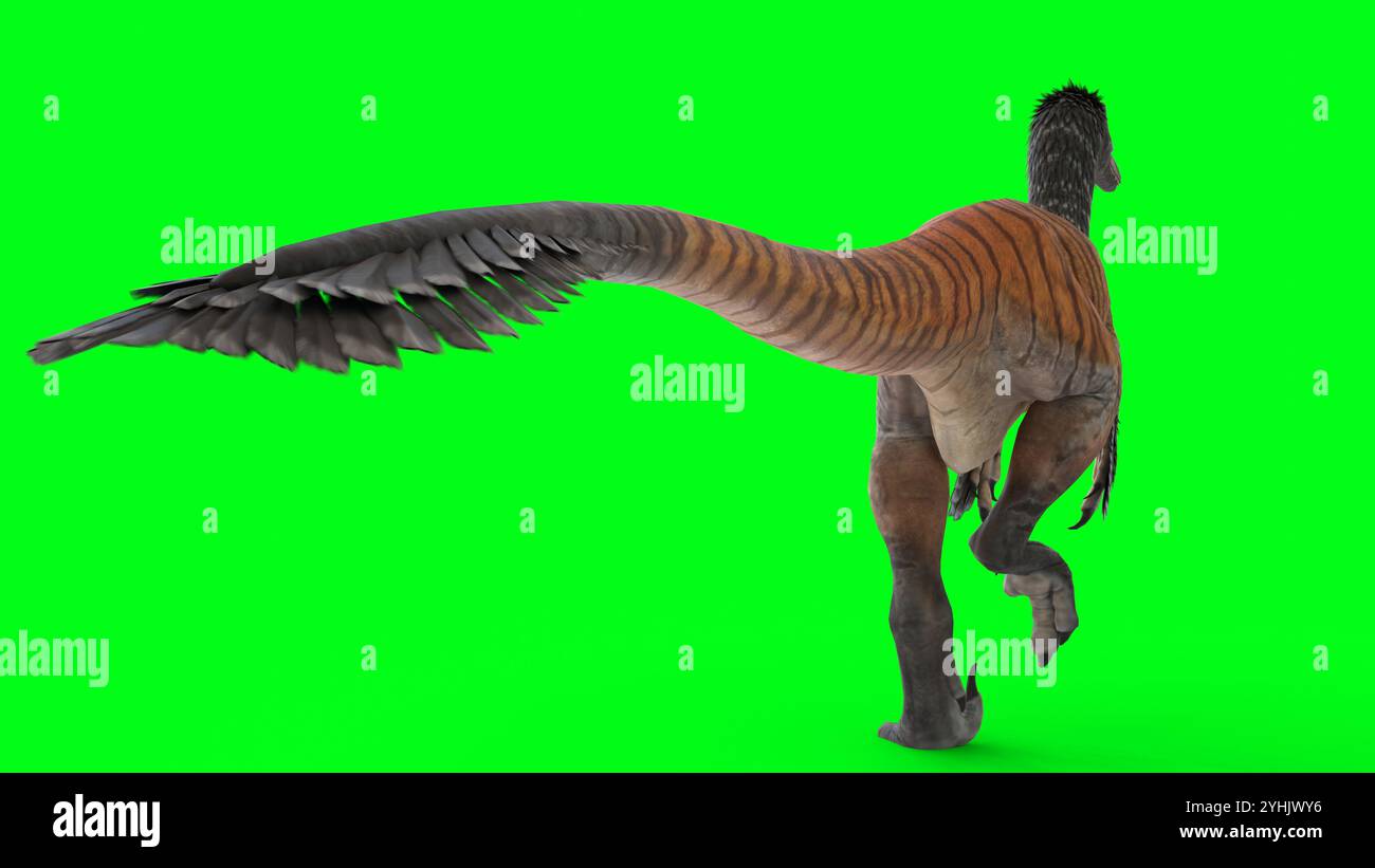 austroraptor with green background Stock Photo - Alamy