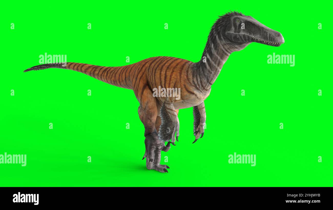 austroraptor with green background Stock Photo - Alamy