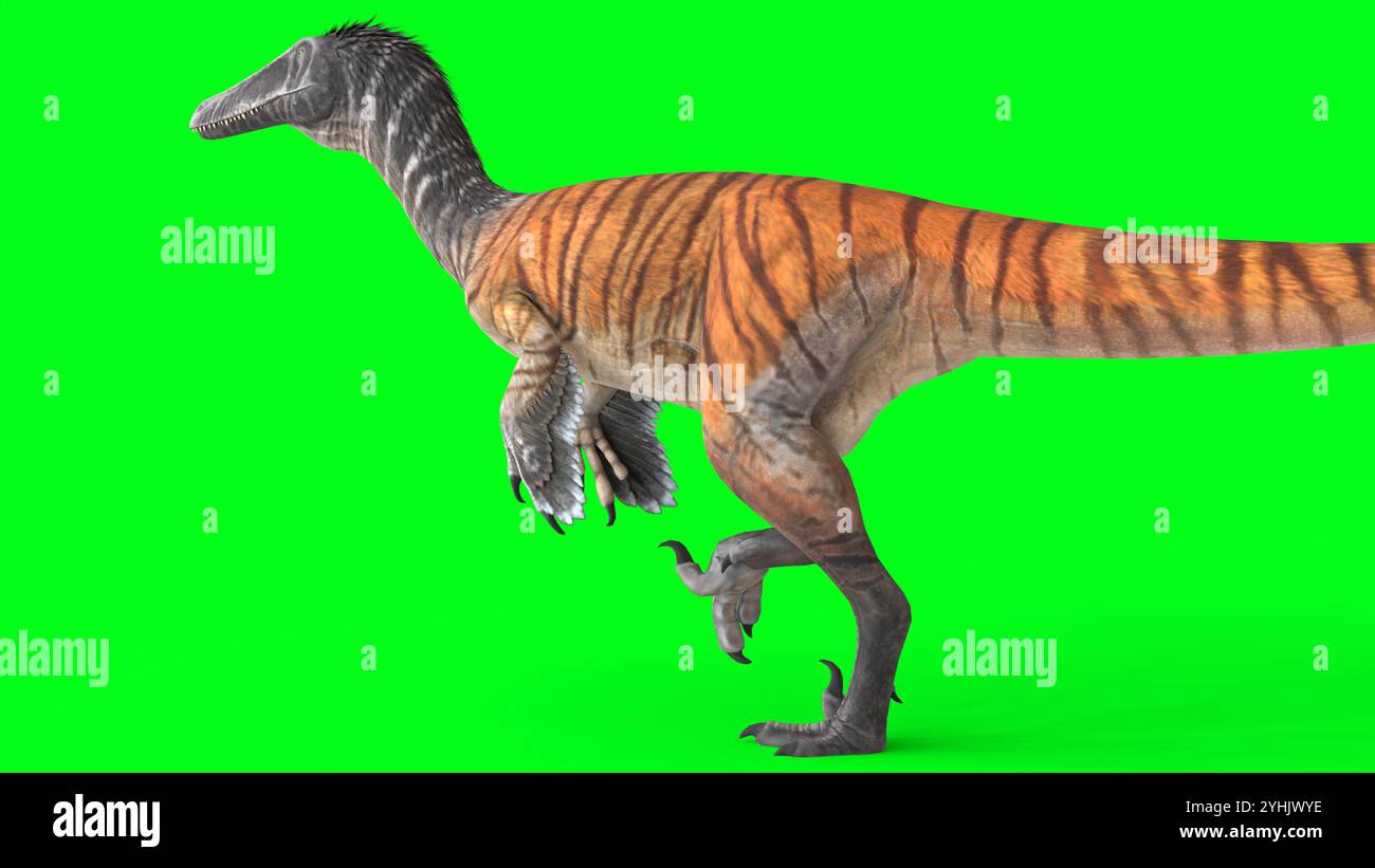 austroraptor with green background Stock Photo - Alamy