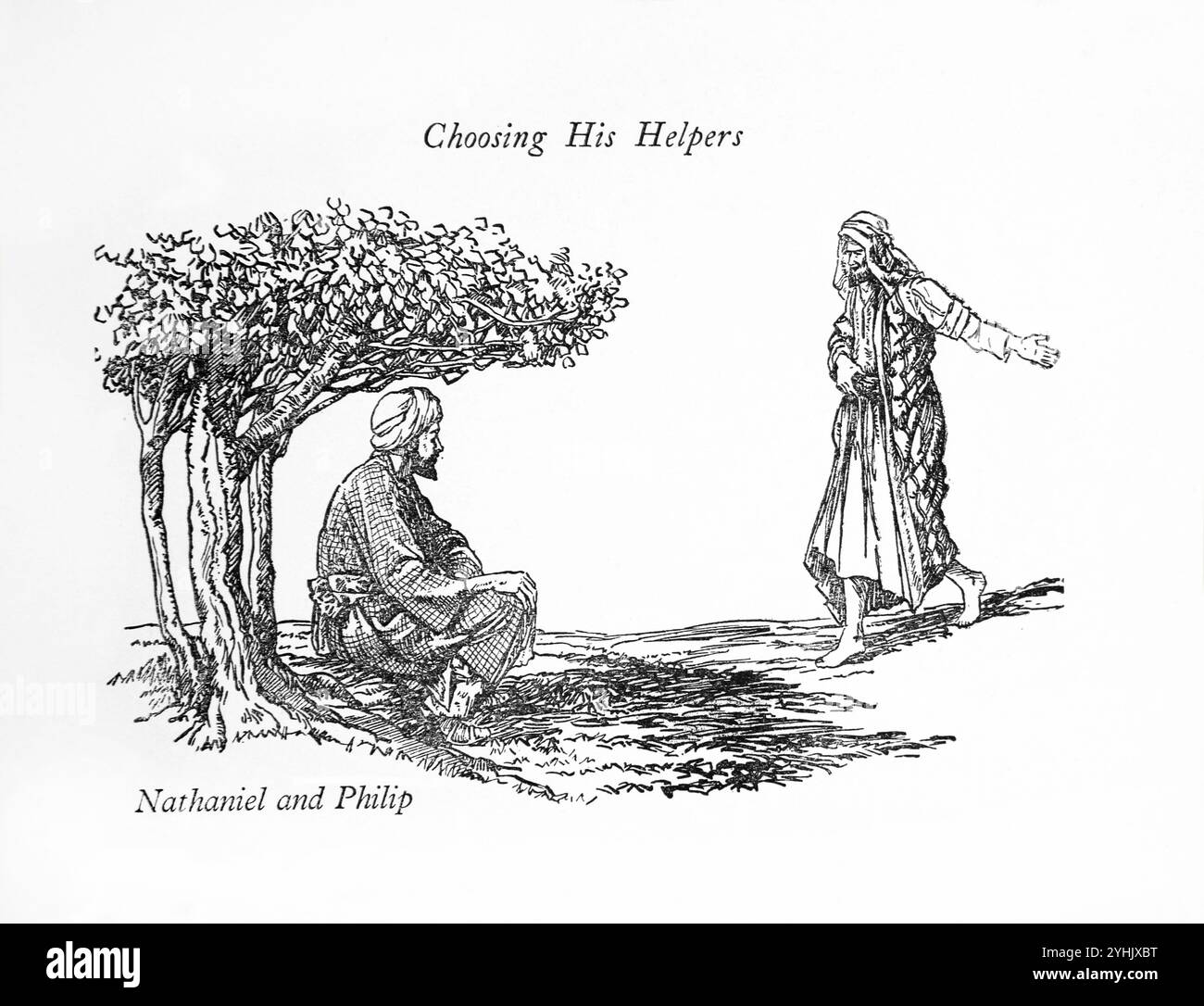 Jesus fig tree hi-res stock photography and images - Alamy