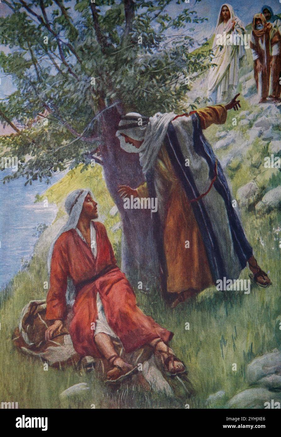 Jesus fig tree hi-res stock photography and images - Alamy