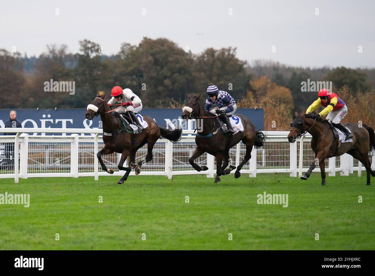 Breeder david oconnell hi-res stock photography and images - Alamy