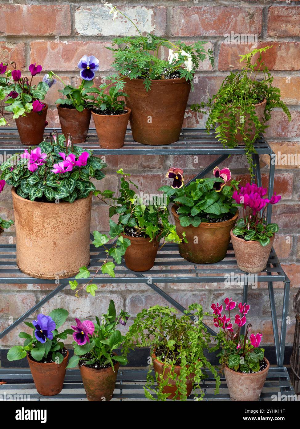 Small courtyard garden pots hi-res stock photography and images - Alamy