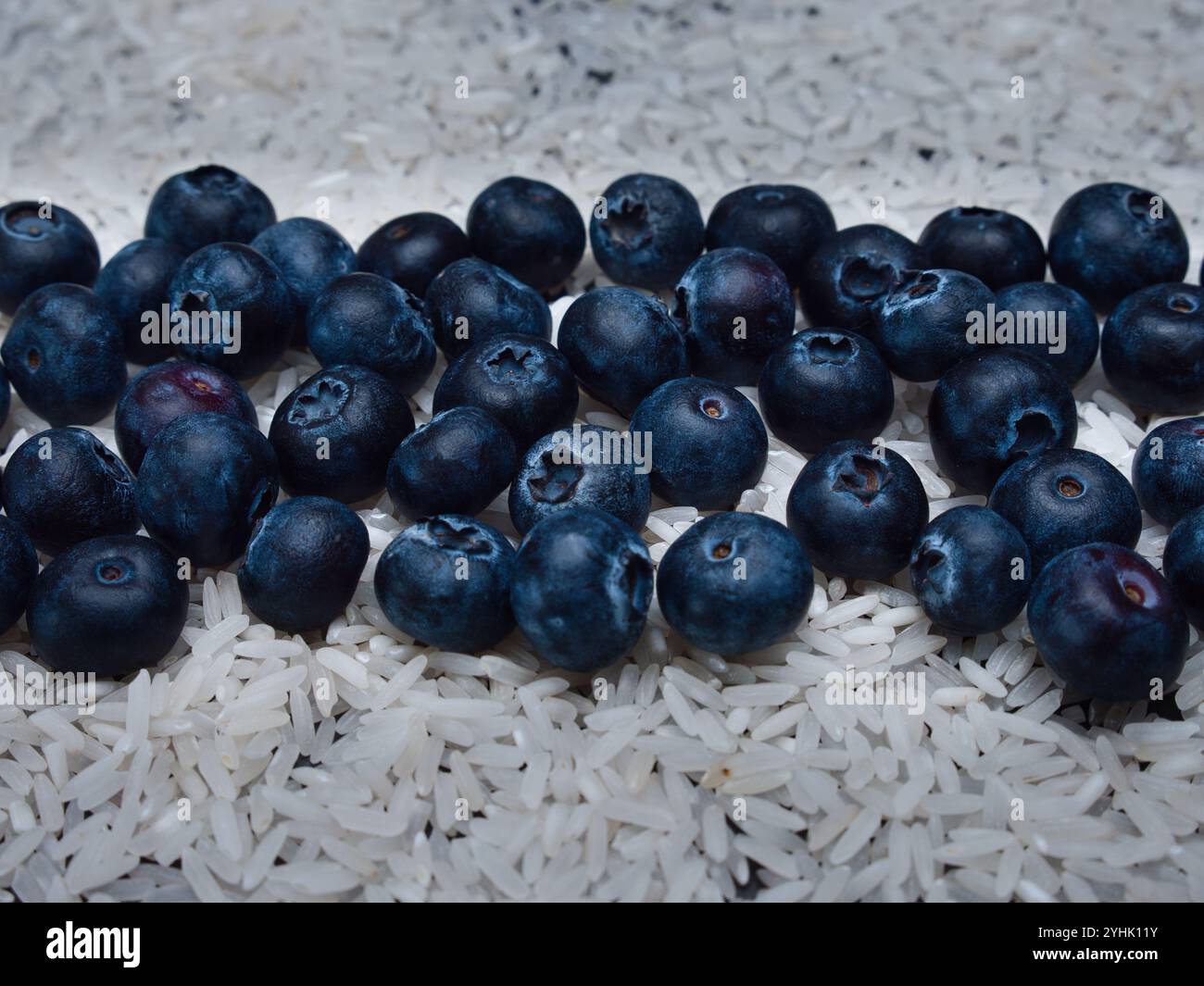Blueberries laid out on rice grains in a line Stock Photo - Alamy