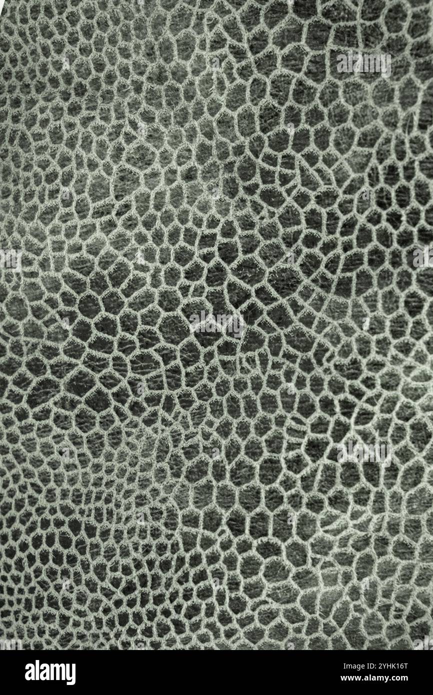 Colorful reptile skin imitation, textured background Stock Photo - Alamy