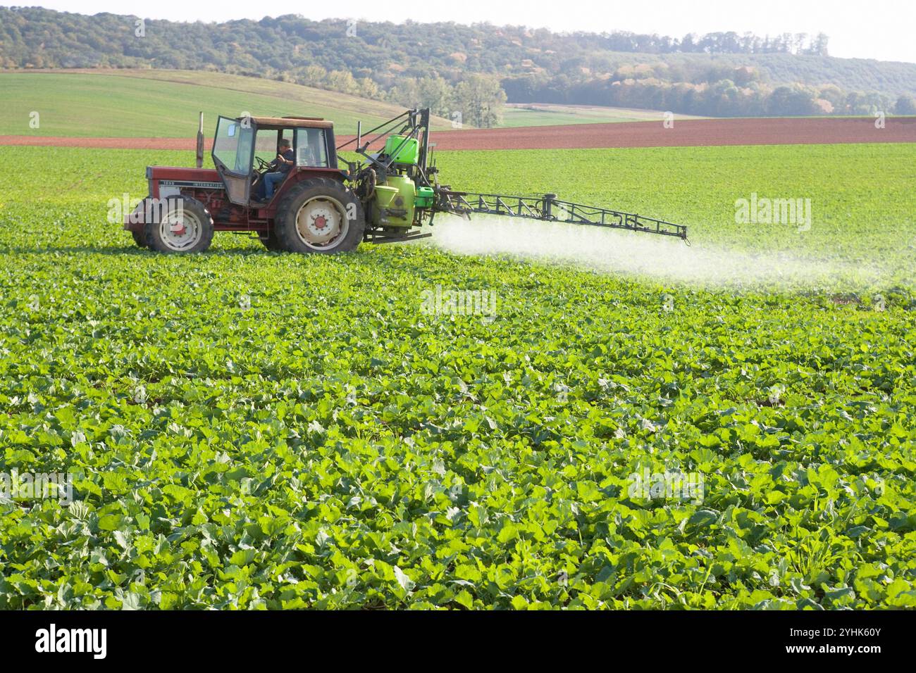Rapeseed spraying with terminal bud weevil insecticide and grass ...
