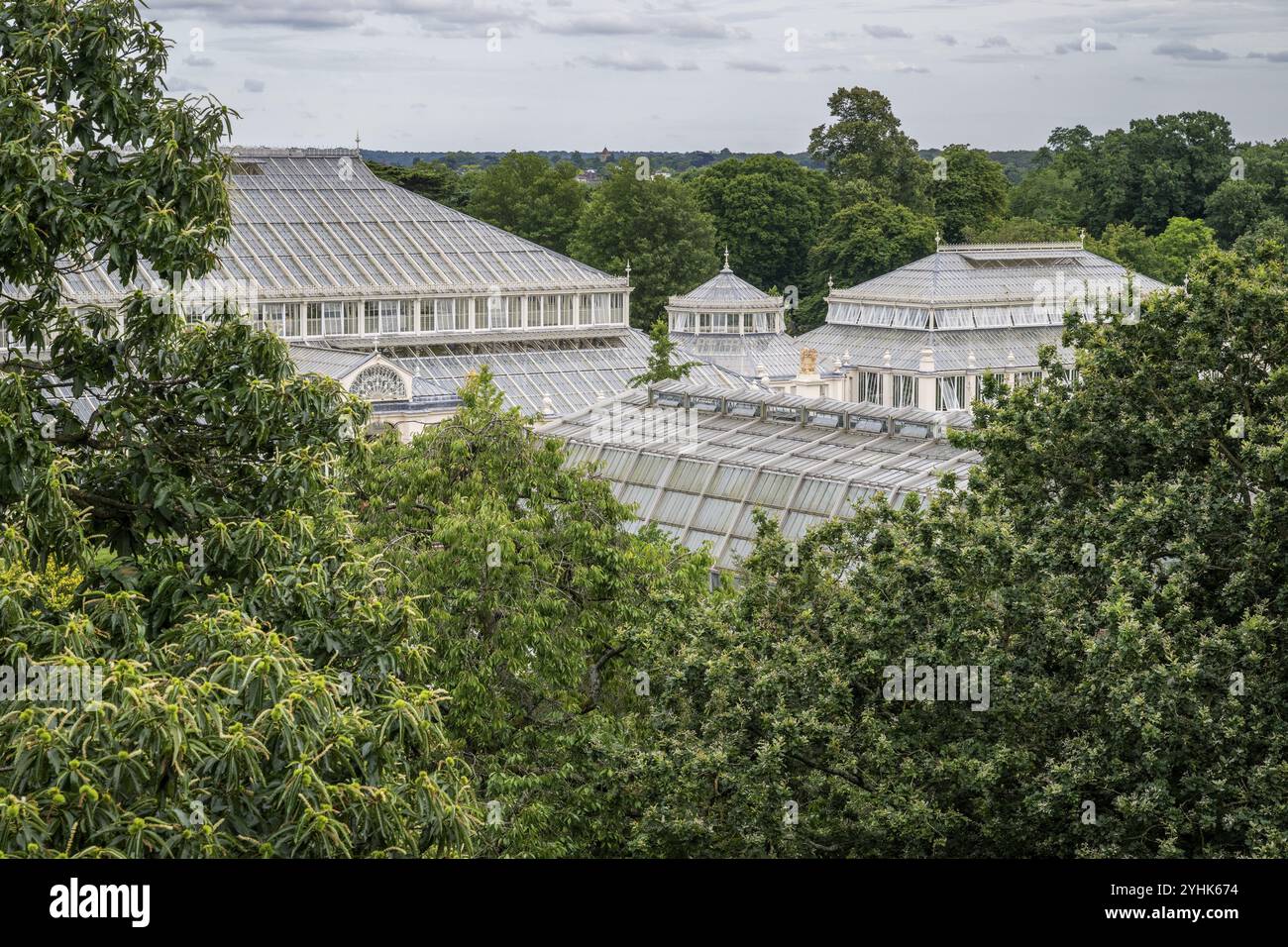 Treetops and Temperate House, largest Victorian glasshouse in the world ...