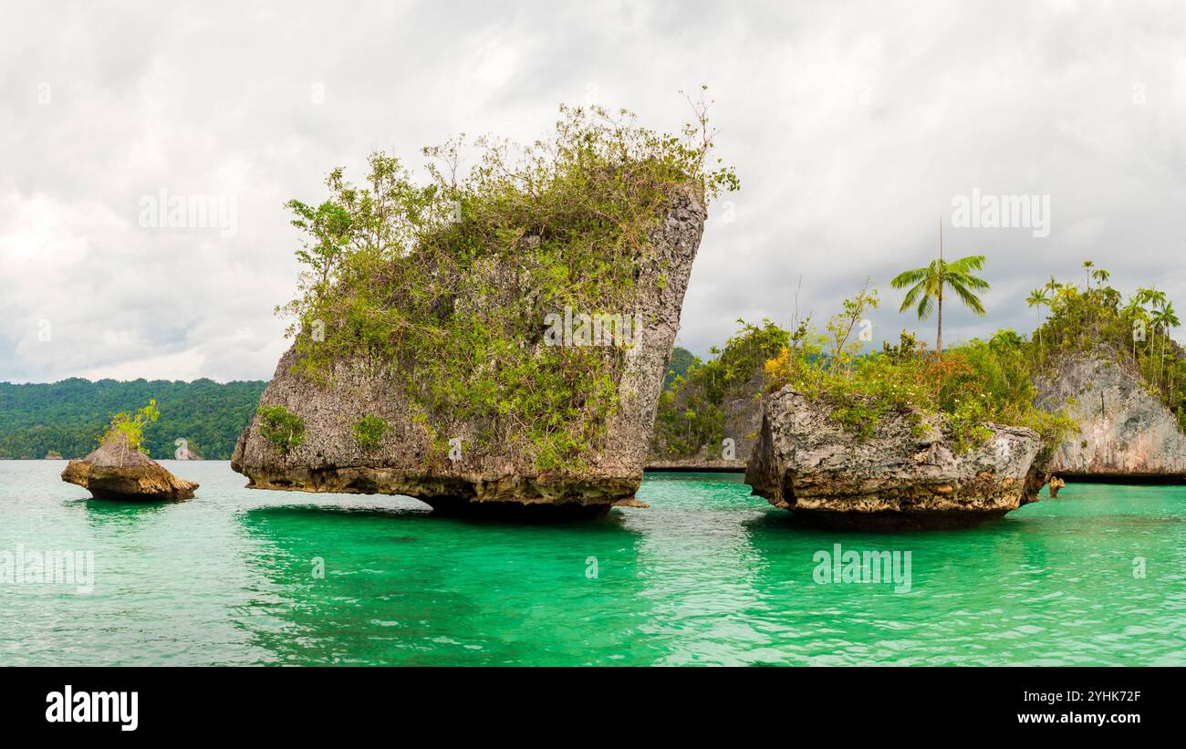 Landscape of limestone islets covered in tropical vegetation at Triton ...