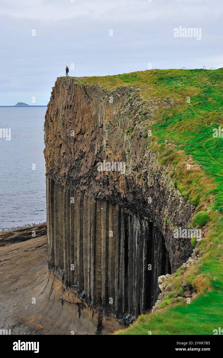 Basalt organ cliff, Staffa, Inner Hebrides, UK Stock Photo - Alamy
