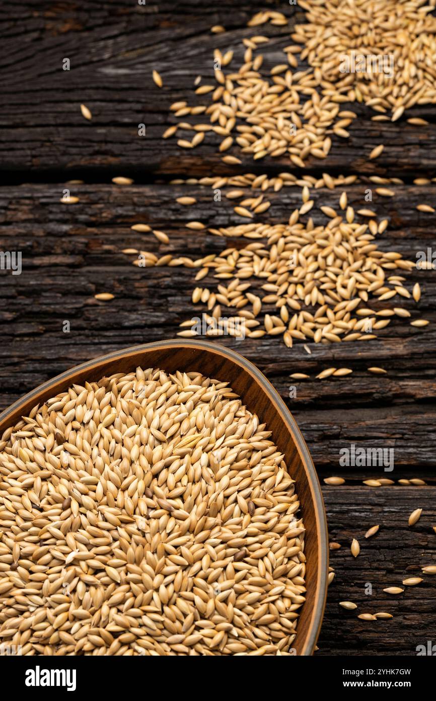Phalaris canariensis - Bird seed food grain Stock Photo - Alamy