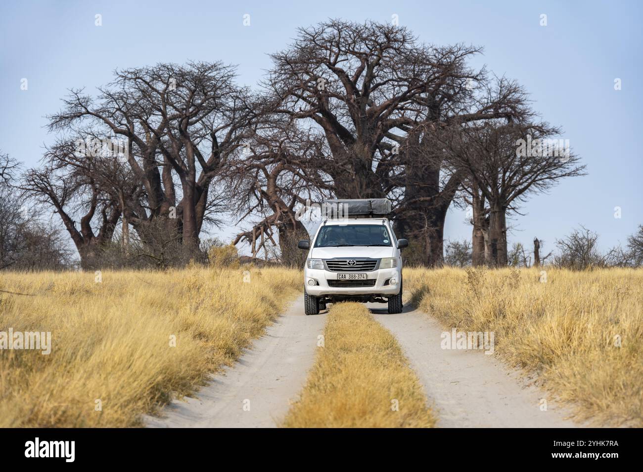 Four-wheel drive vehicle with roof tent on a track, yellow grass and ...