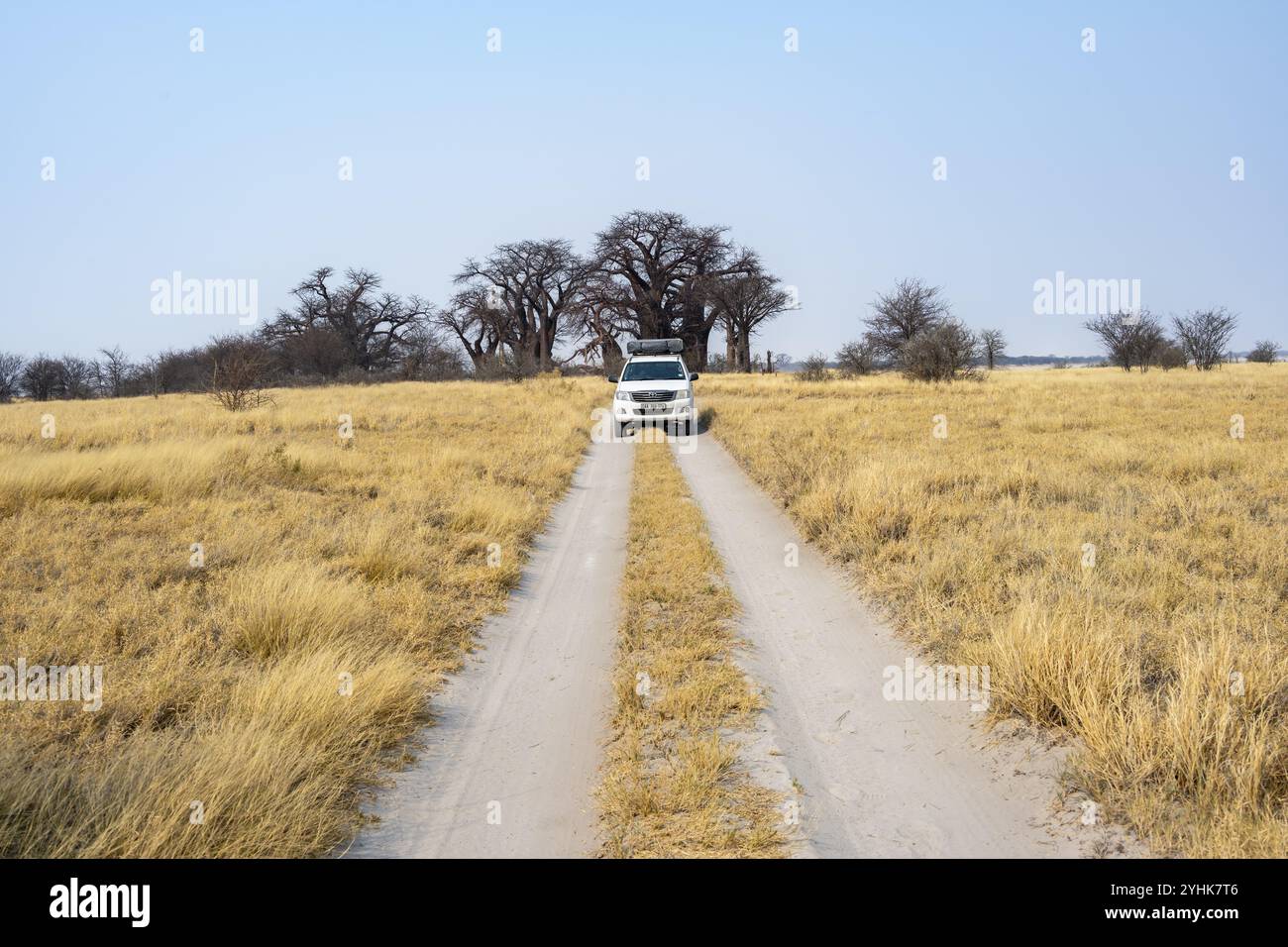 Four-wheel drive vehicle with roof tent on a track, yellow grass and ...